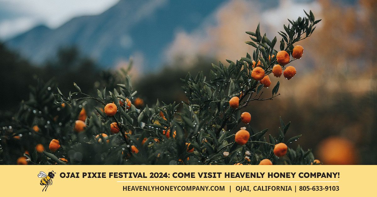 Ojai Pixie festival 2024: History, Activities, Visit Us!